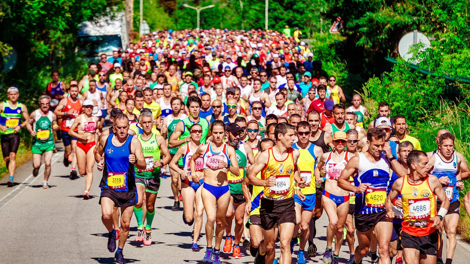 Allies in Colour – Converting participation into decision-making ...